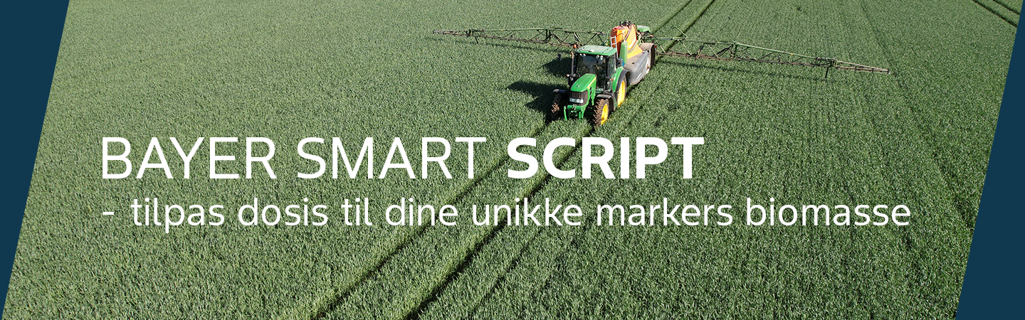 Bayer - vi hjælper landmænd med plantebeskyttelse - Bayer Crop Science Danmark